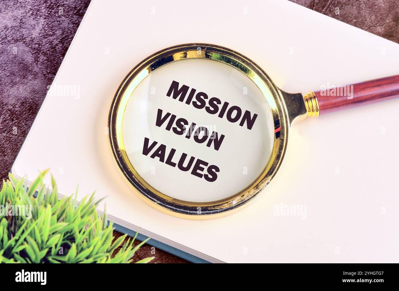 MISSION VISION VALUES symbol. Concept words MISSION VISION VALUES in a ...