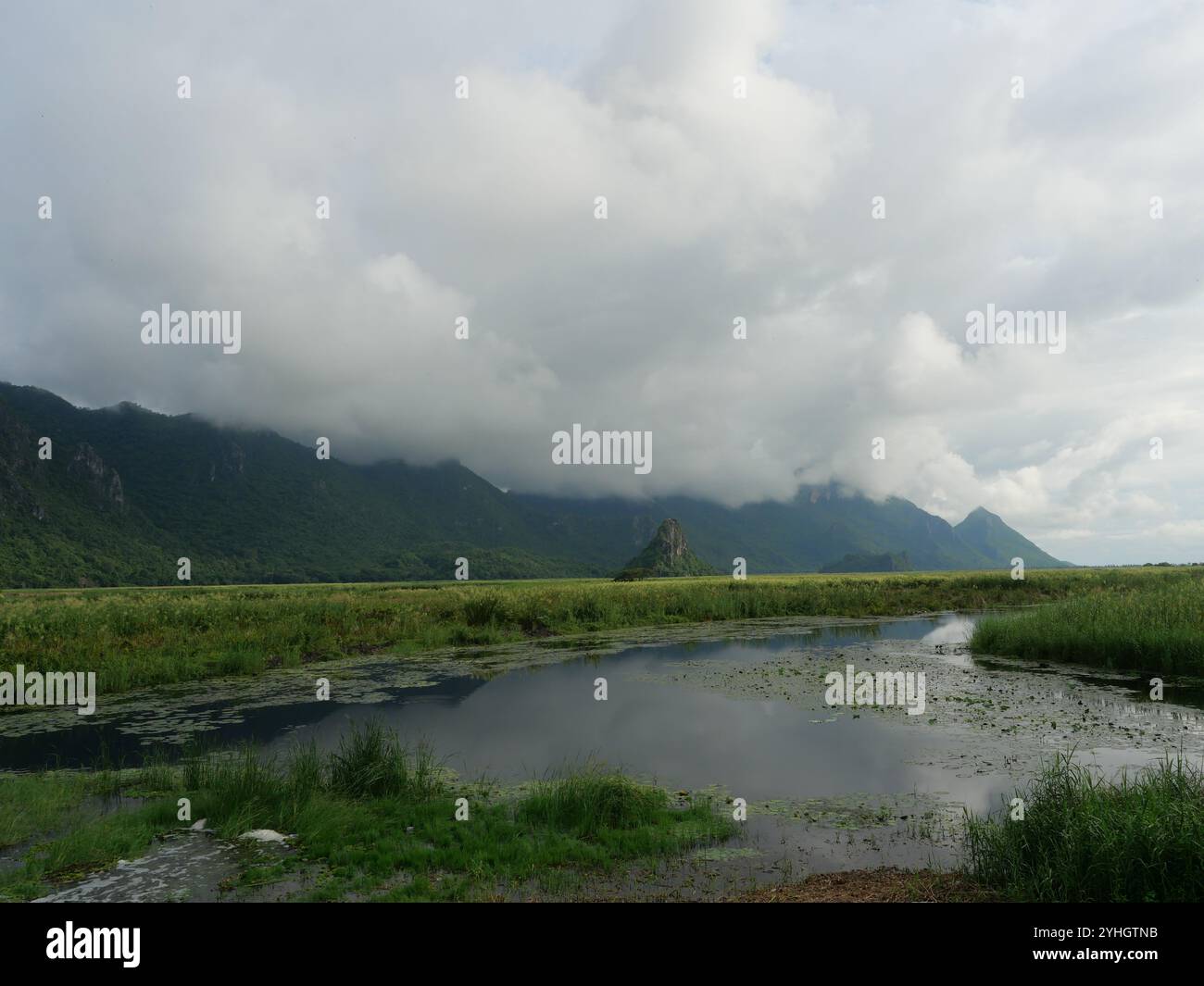 Cloud and fog cover limestone mountain in the rainy season, Swamp and ...