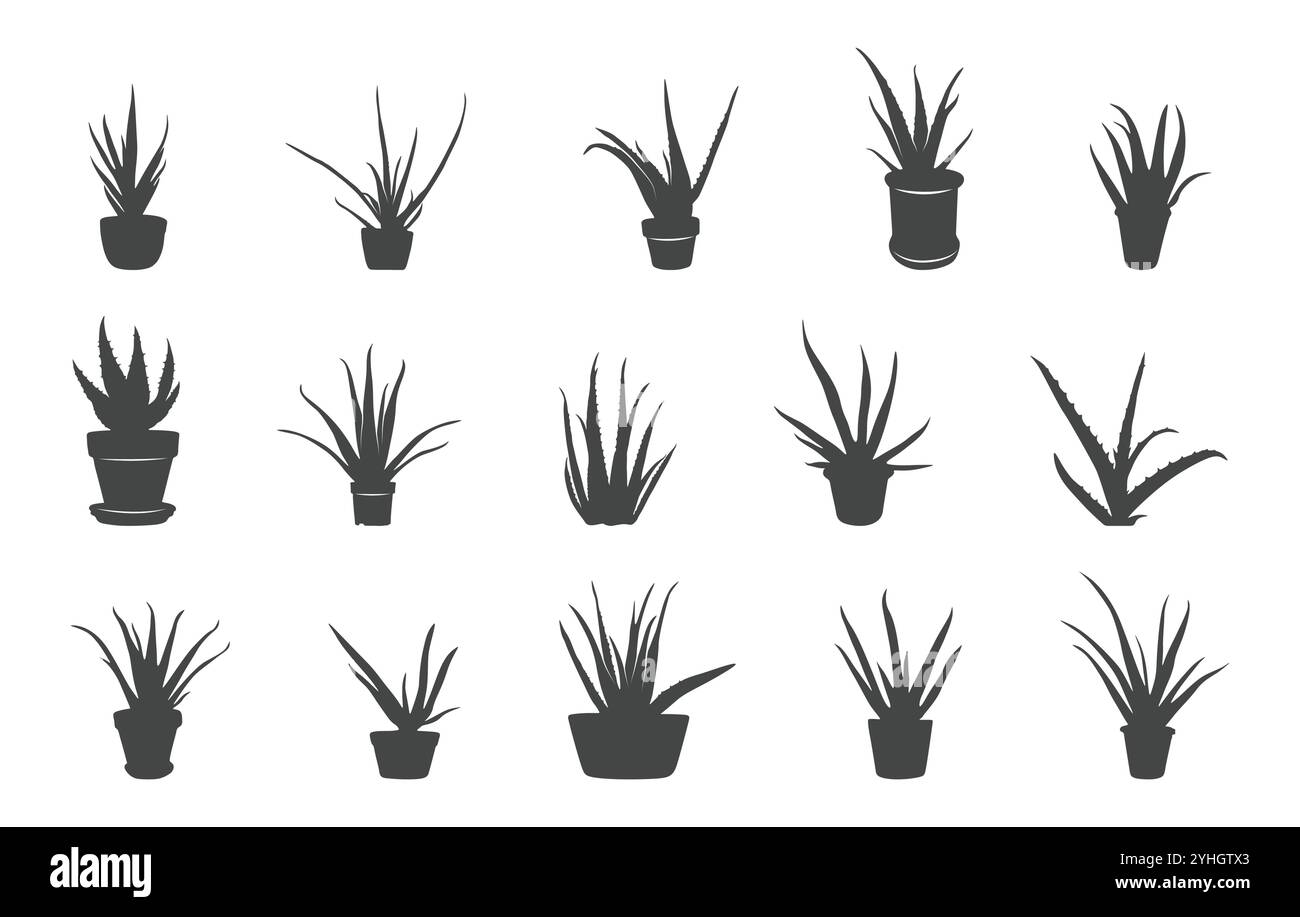 Aloe vera silhouette, Aloe vera svg, Aloe plant silhouette, Aloe plant ...