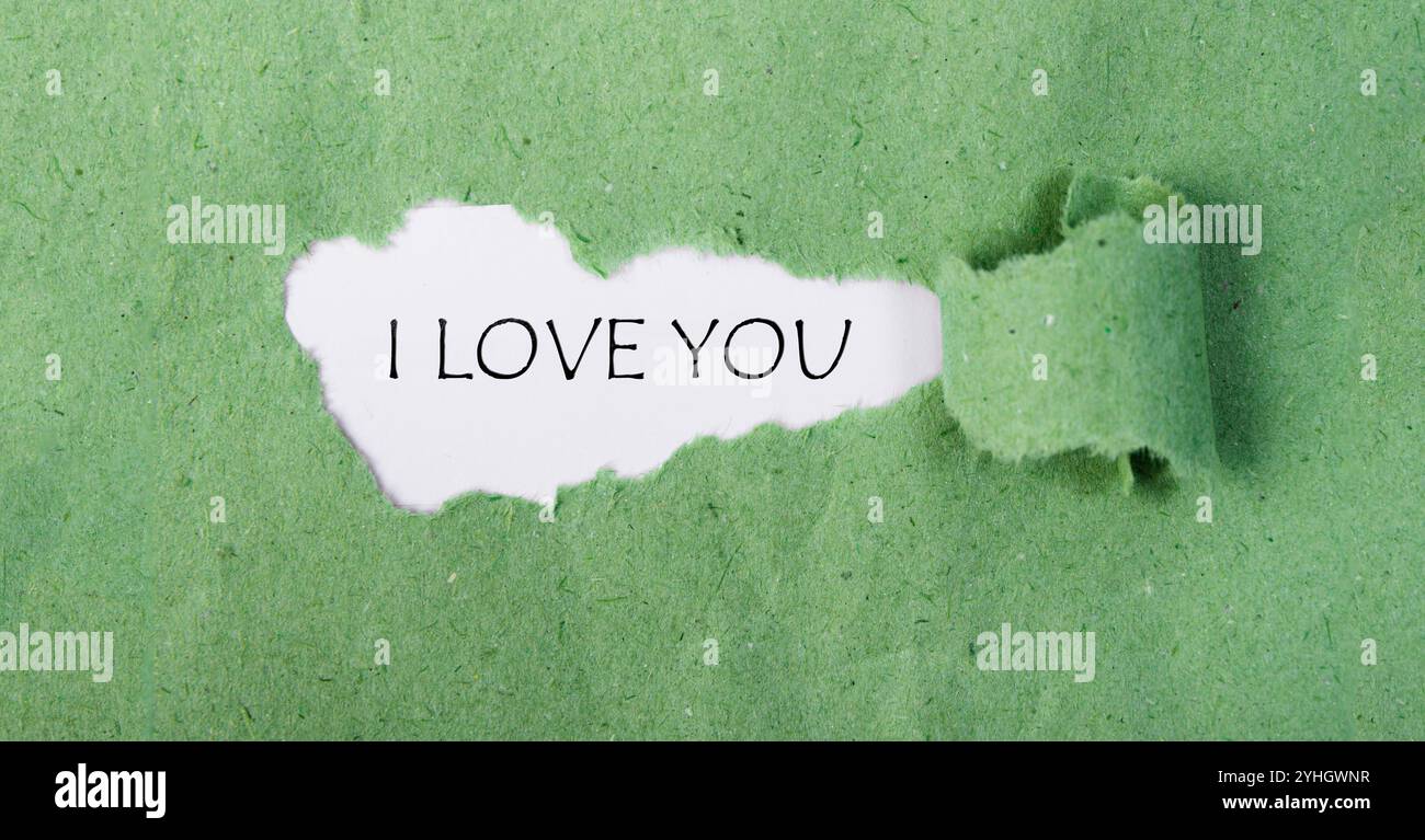 Message I Love You written on Torn paper with white and Green ...