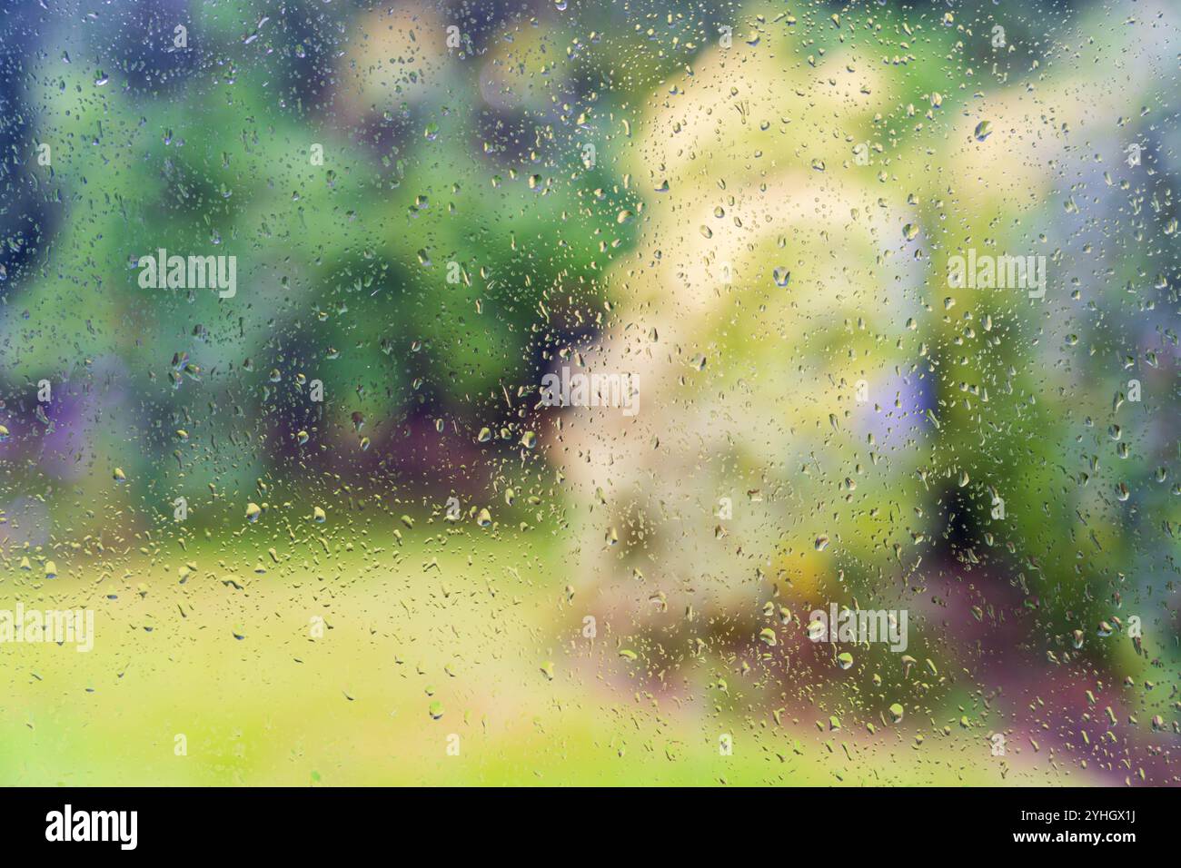 Abstract representation of greenery hi-res stock photography and images ...