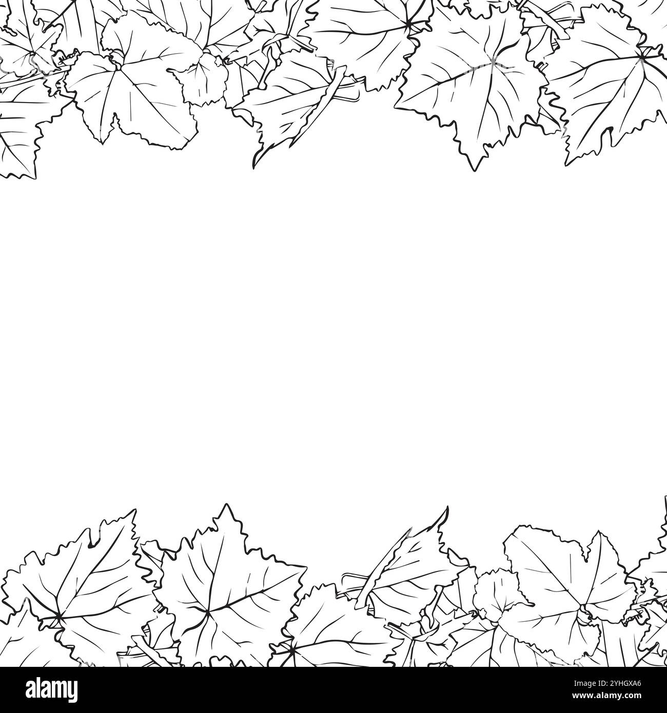 Frame of grape leaves, flower arrangement with leaves as a frame for ...