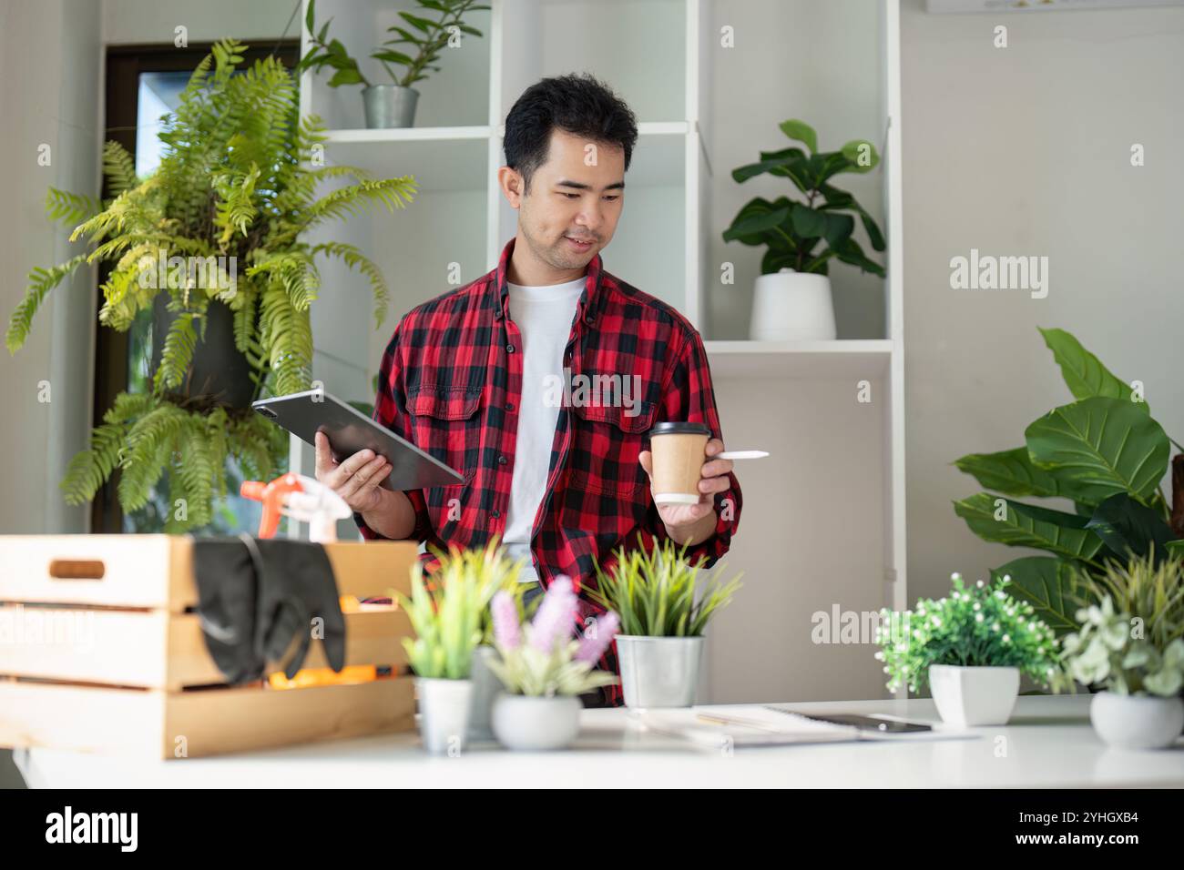 Plant Arranger Balancing Multitasking with Digital Communication Stock ...