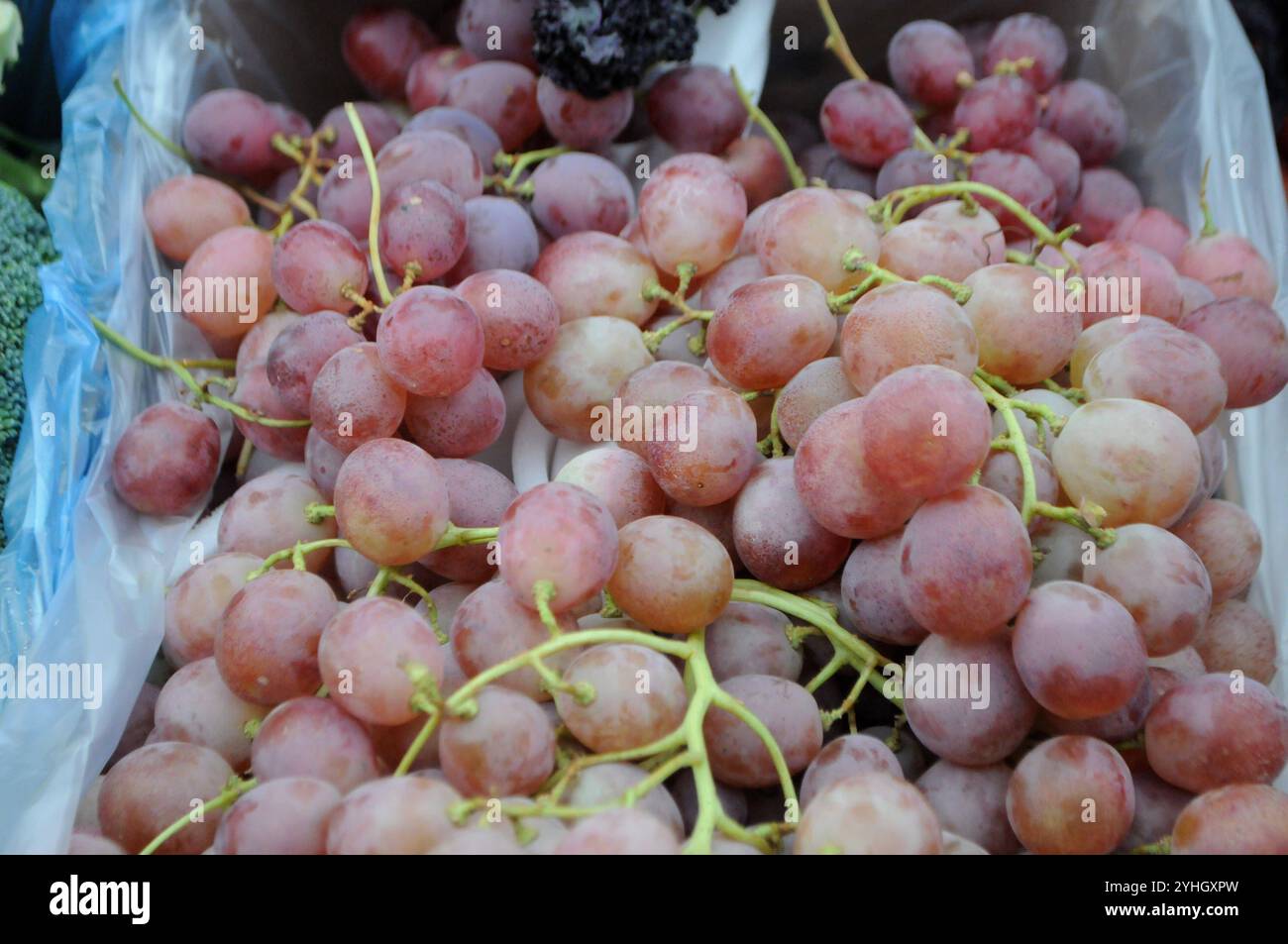 Copenhagen/ Denmark/11 Nov. 2024/ grapes for sale in capital. Photo ...