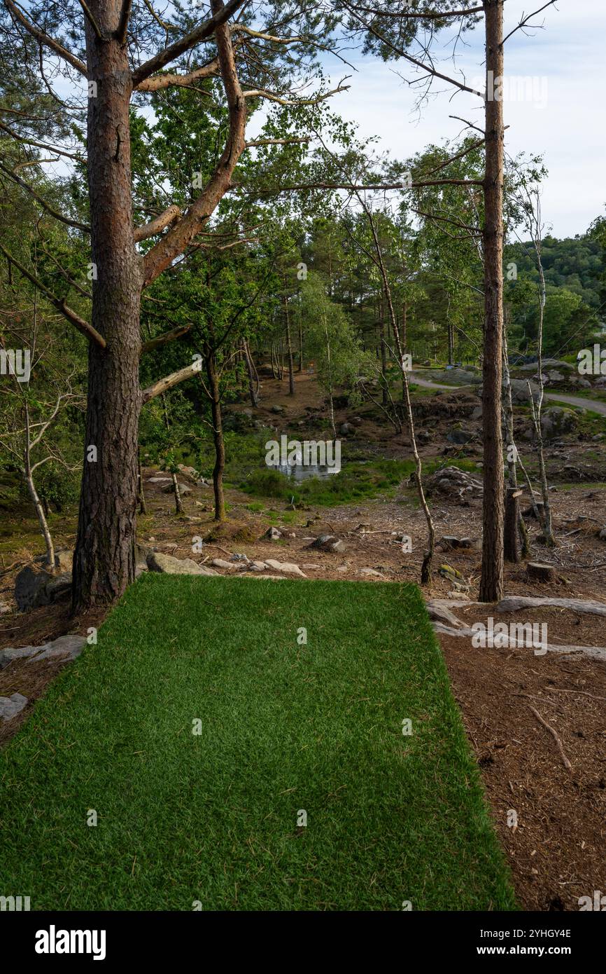 Disc golf tee looking out over a wood landscape Stock Photo - Alamy