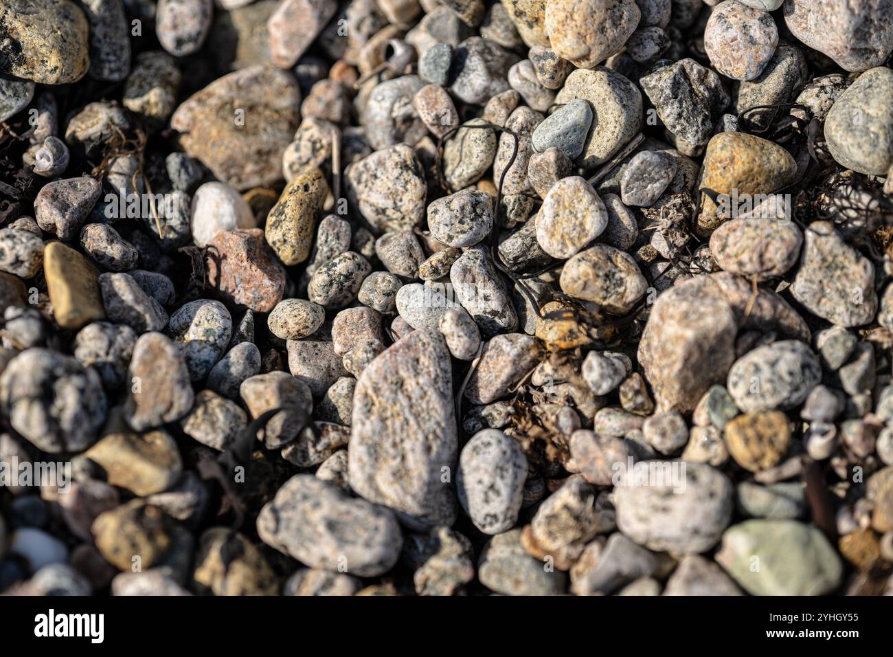 Round brounded rocks on a beach Stock Photo - Alamy