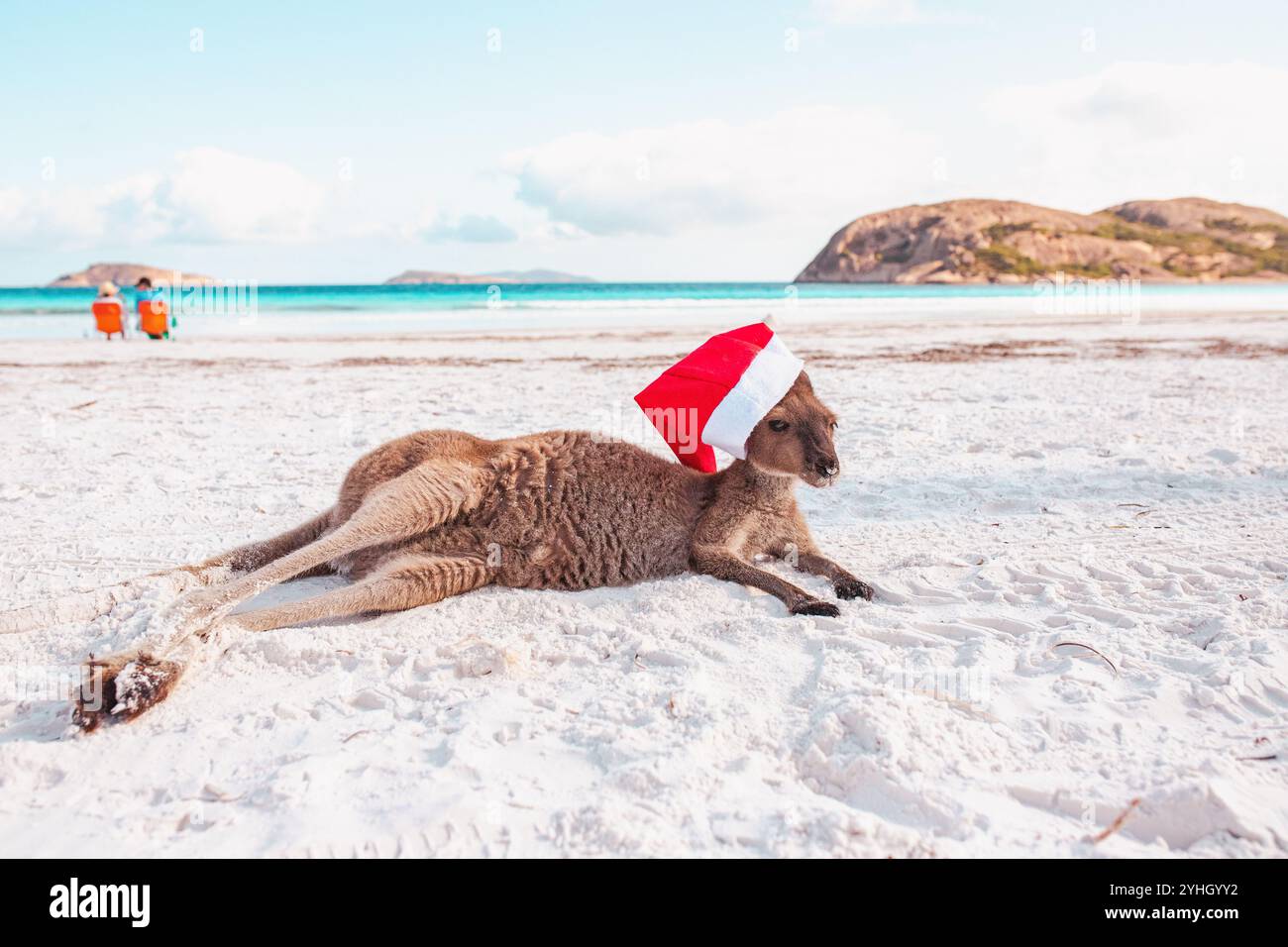 Funny australian christmas hi-res stock photography and images - Alamy