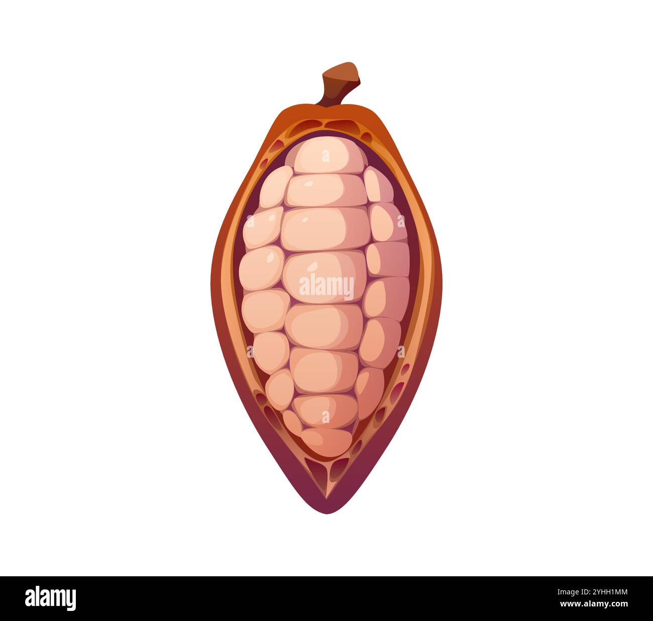 Cartoon cocoa bean of cacao tree for chocolate candy or sweet desserts ...