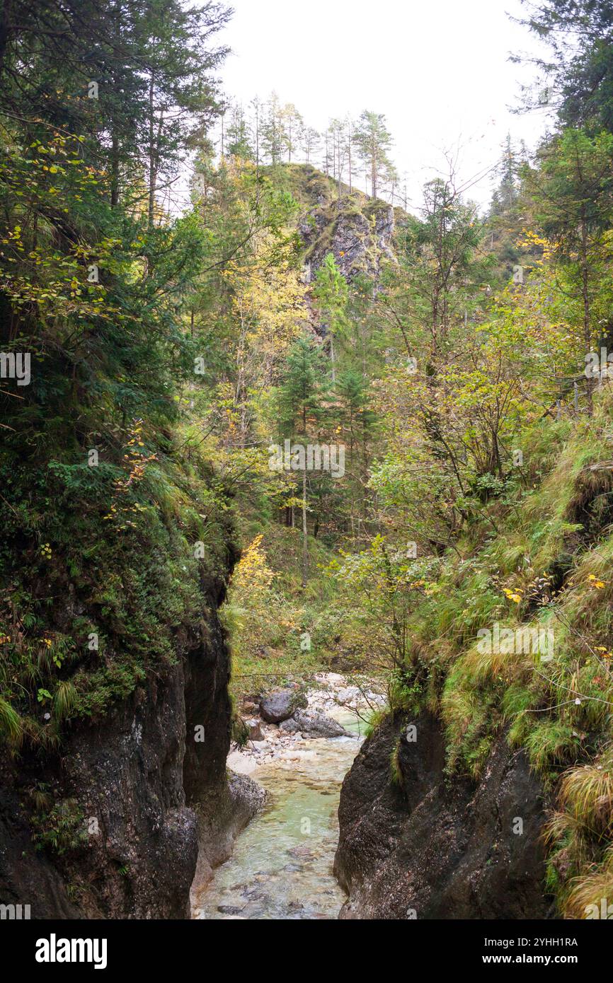 Almbachklamm gorge in fall, Berchtesgaden, Berchtesgadener Land, Upper ...