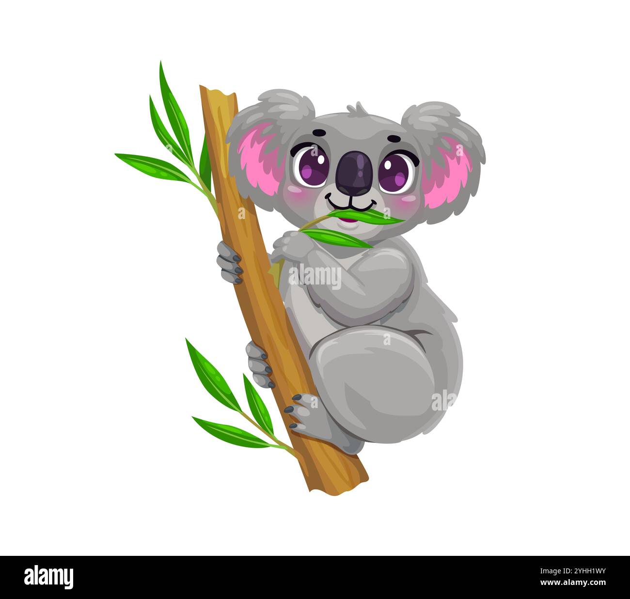 Cartoon cute koala bear character sitting on eucalyptus branch, vector ...