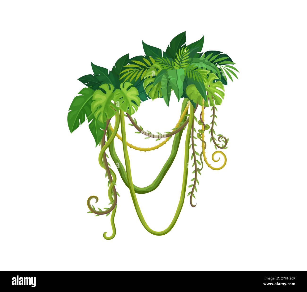 Jungle tropical forest vertical liana leaves. Tropical nature vine ...
