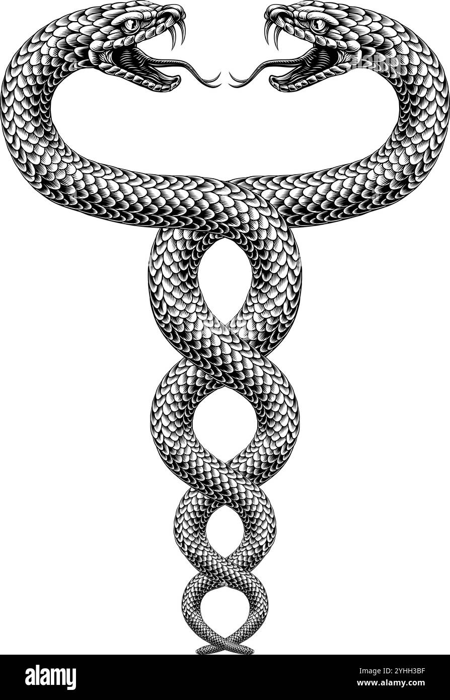 Snakes Coiled Twin Serpents Vintage Illustration Stock Vector Image ...