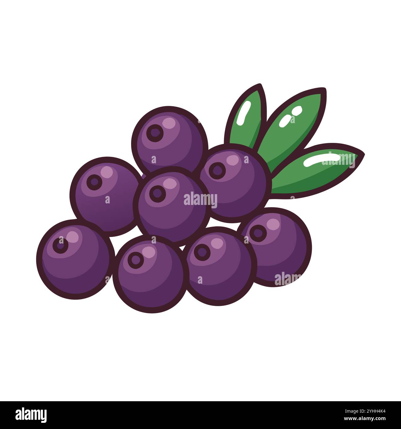 simple vector illustration of a acai berry, in a simple and clean style ...