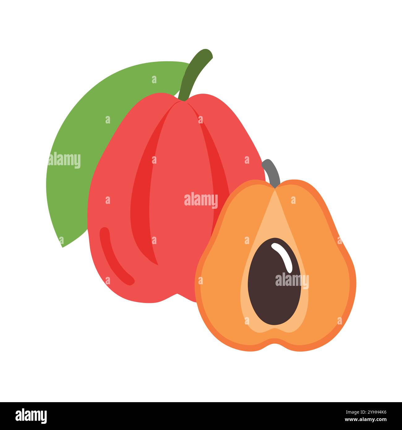 simple vector illustration of a ackee, in a simple and clean style ...