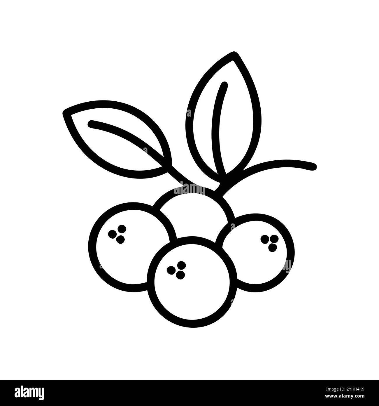 simple vector illustration of a acai berry, in a simple and clean style ...