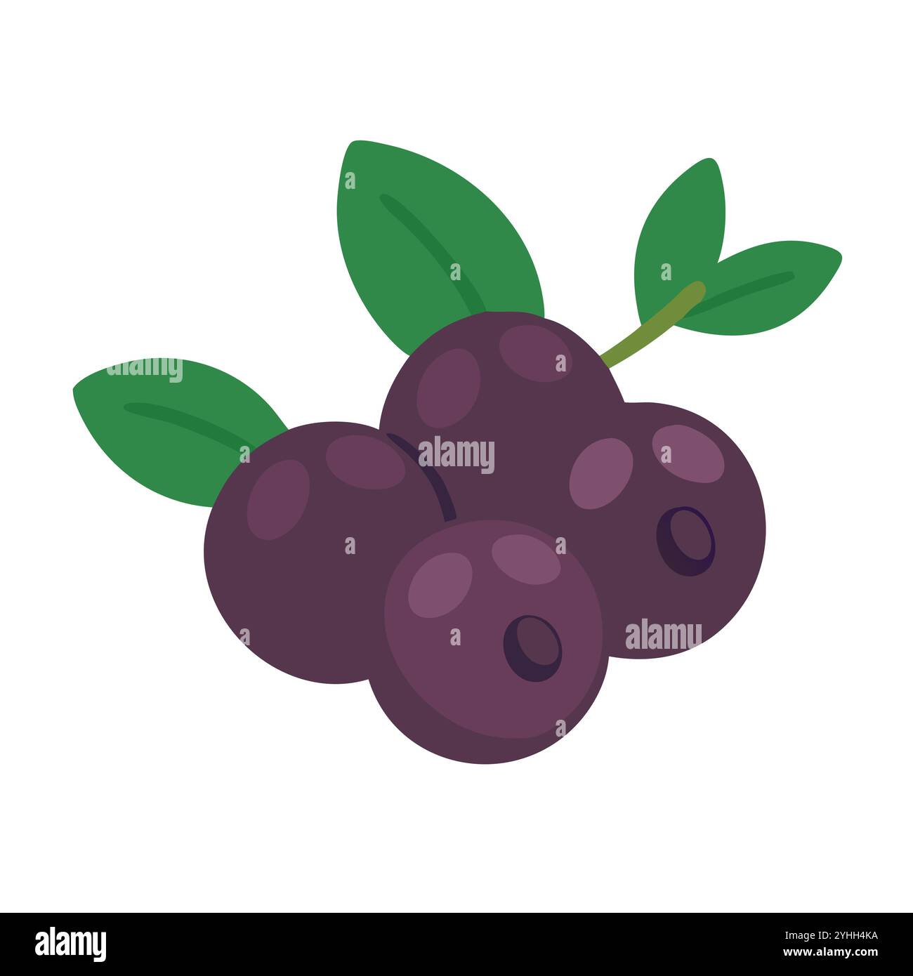 simple vector illustration of a acai berry, in a simple and clean style ...