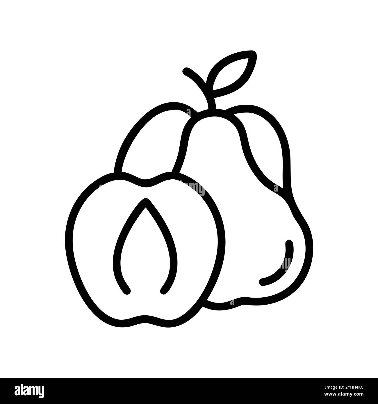simple vector illustration of a ackee, in a simple and clean style ...