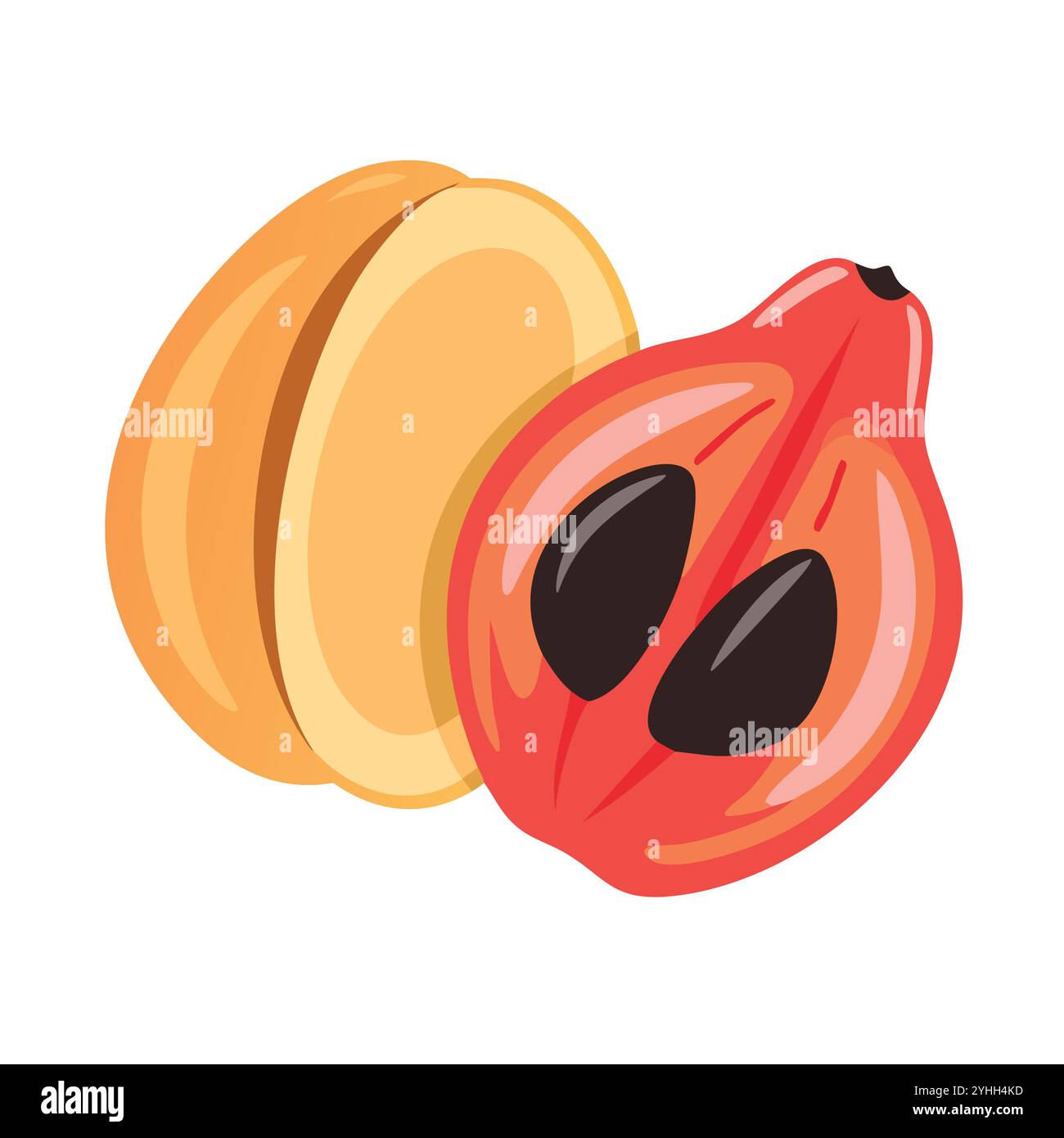 simple vector illustration of a ackee, in a simple and clean style ...