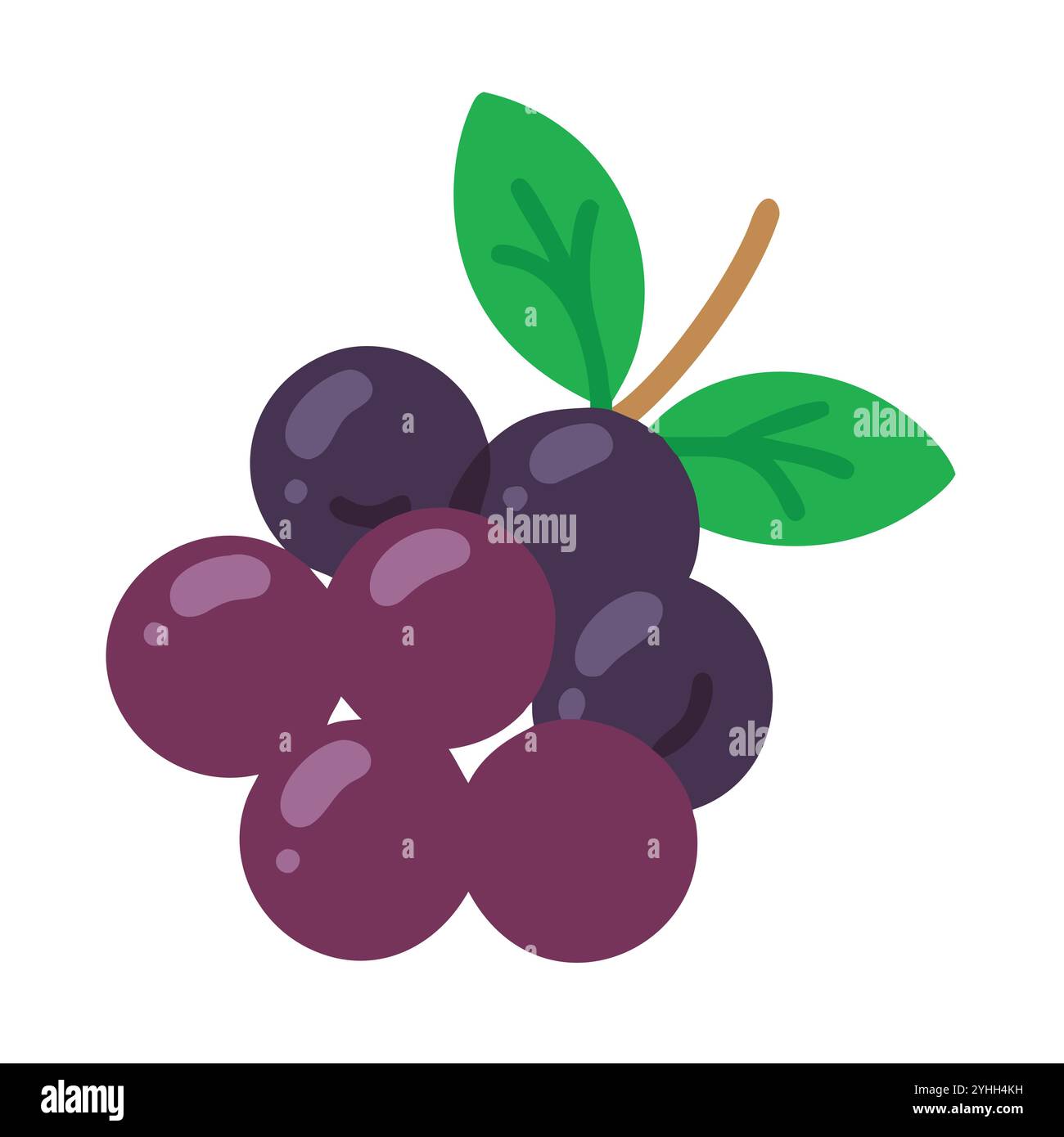 simple vector illustration of a acai berry, in a simple and clean style ...