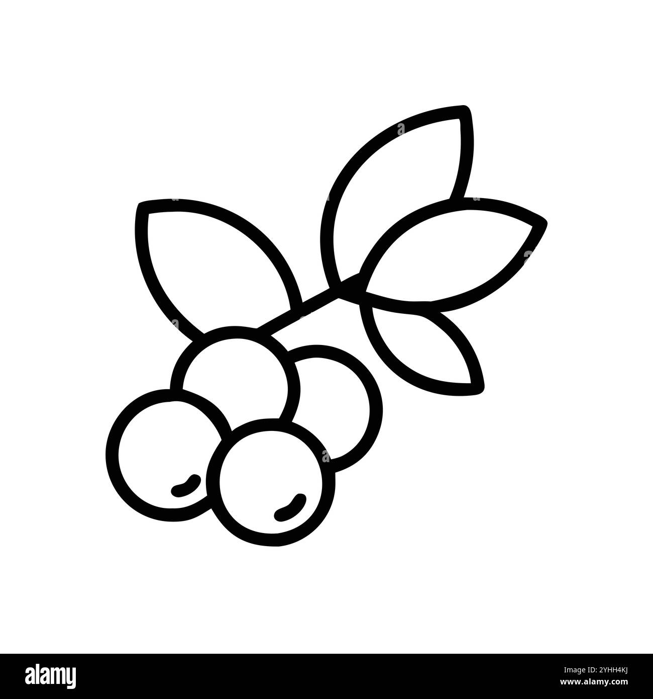 simple vector illustration of a acai berry, in a simple and clean style ...