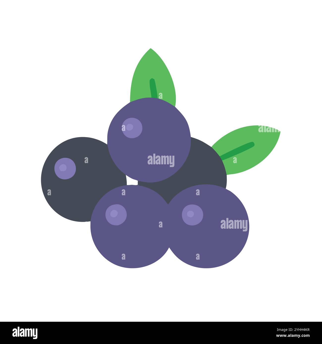 simple vector illustration of a acai berry, in a simple and clean style ...