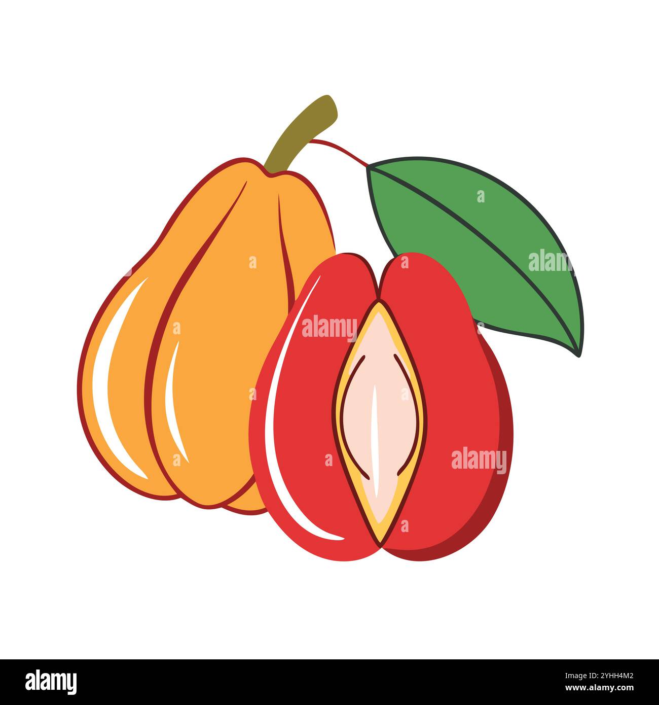 simple vector illustration of a ackee, in a simple and clean style ...