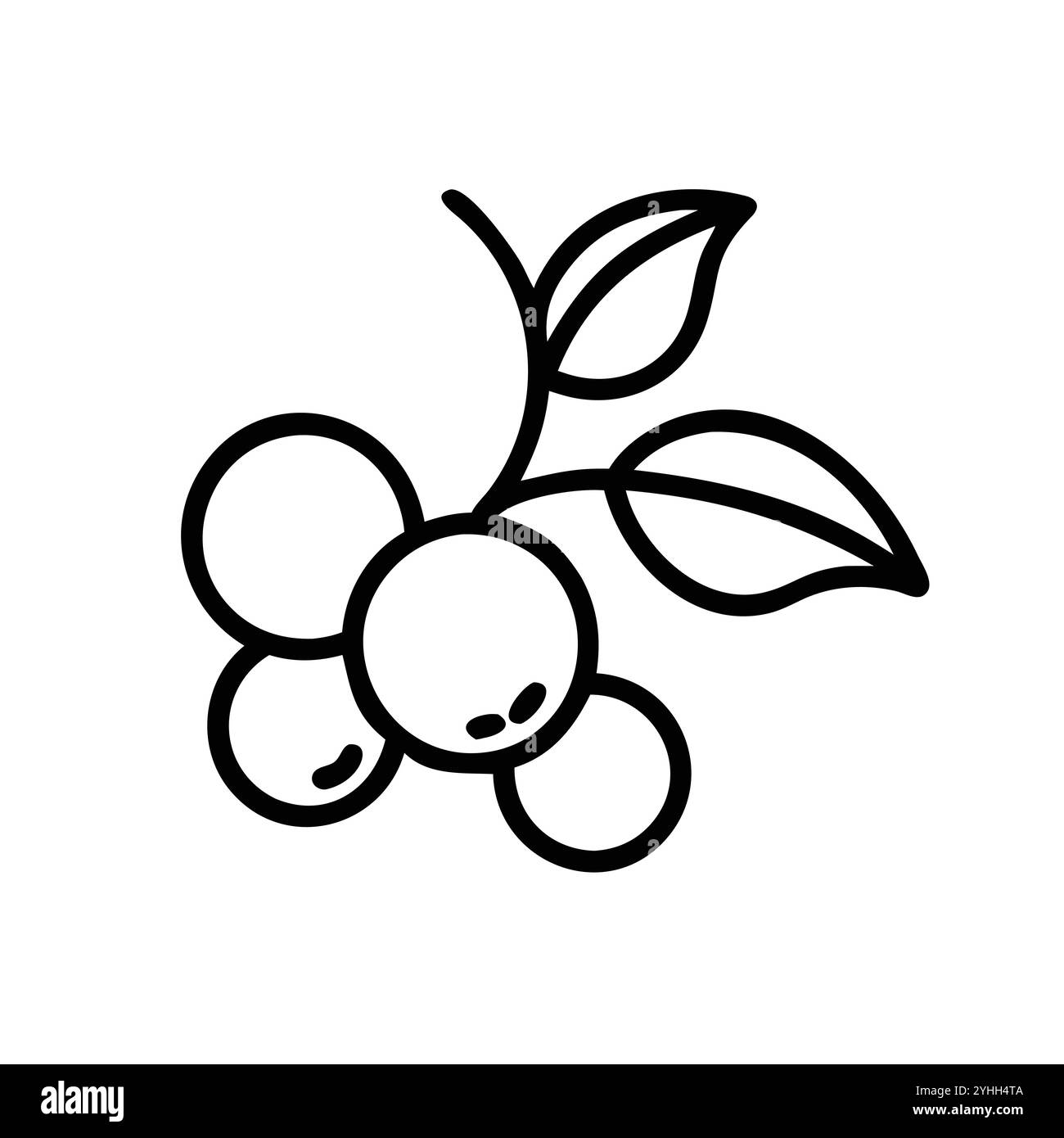 simple vector illustration of a acai berry, in a simple and clean style ...