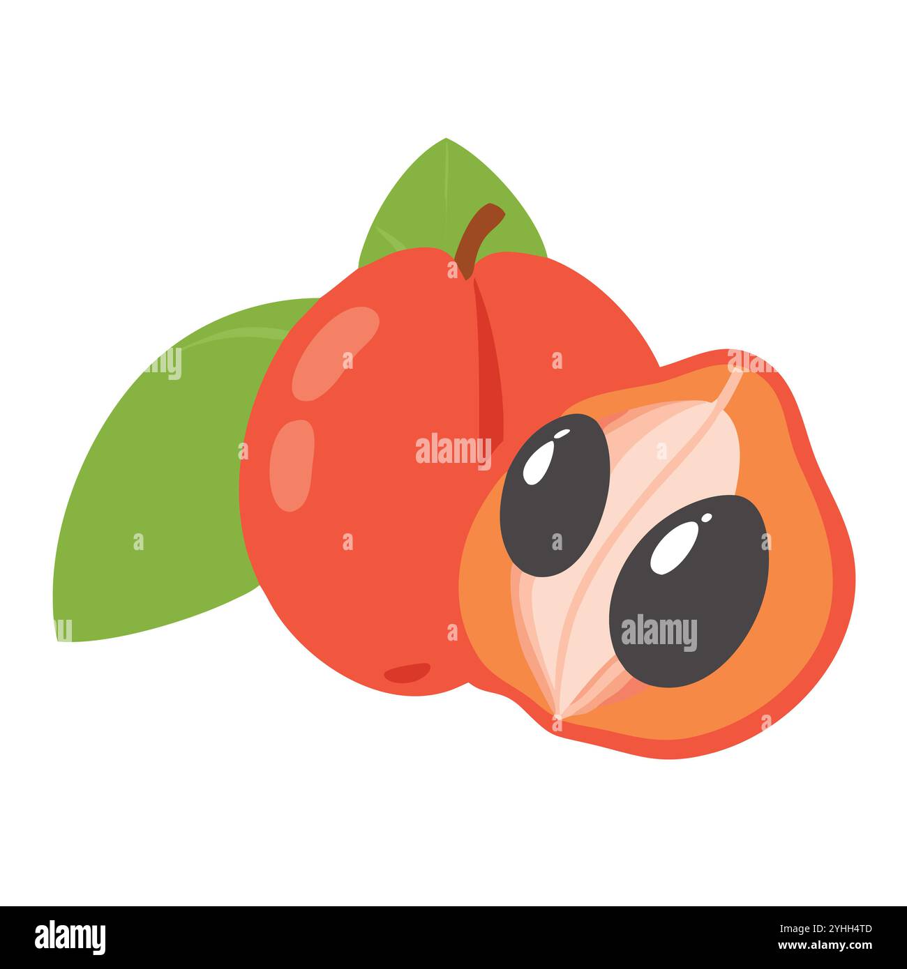 simple vector illustration of a ackee, in a simple and clean style ...