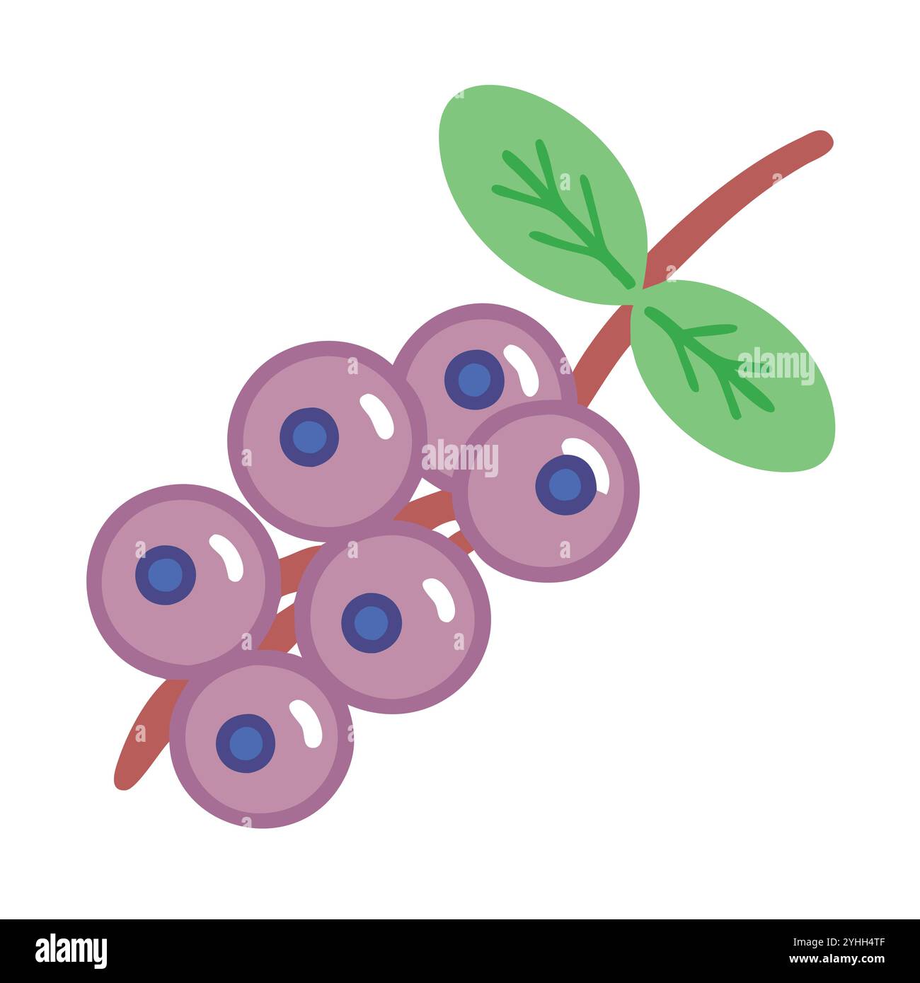 simple vector illustration of a acai berry, in a simple and clean style ...