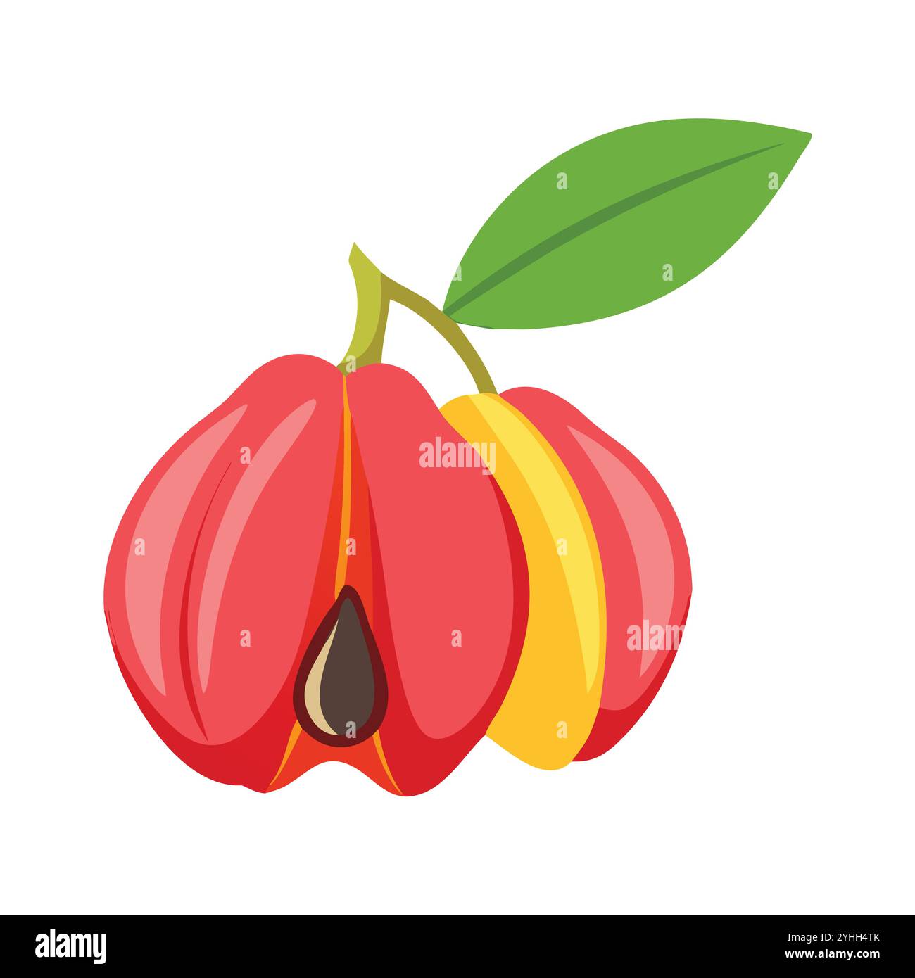 simple vector illustration of a ackee, in a simple and clean style ...