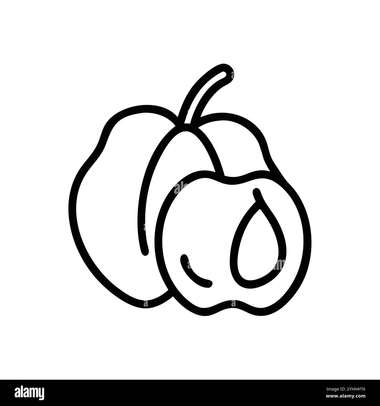 simple vector illustration of a ackee, in a simple and clean style ...