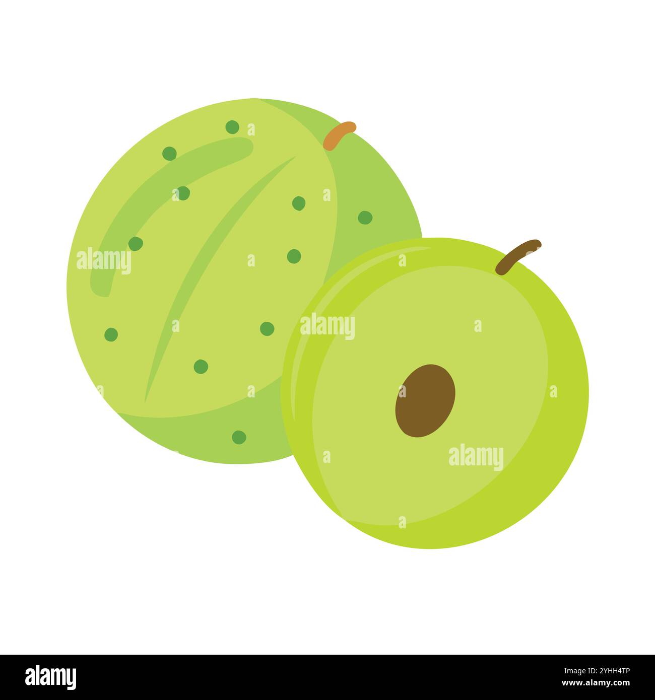 simple vector illustration of a indian gooseberry, in a simple and clean style, suitable for ...