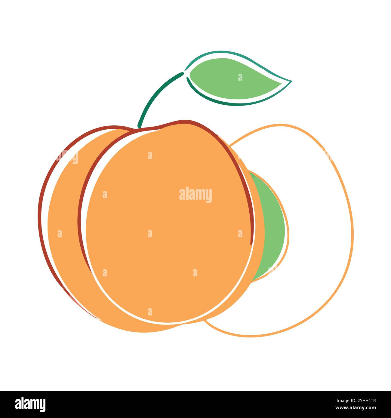 simple vector illustration of a apricot, in a simple and clean style ...