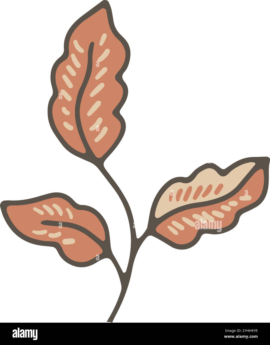 Minimalist Brown Leaf Illustration vector Stock Vector Image & Art - Alamy