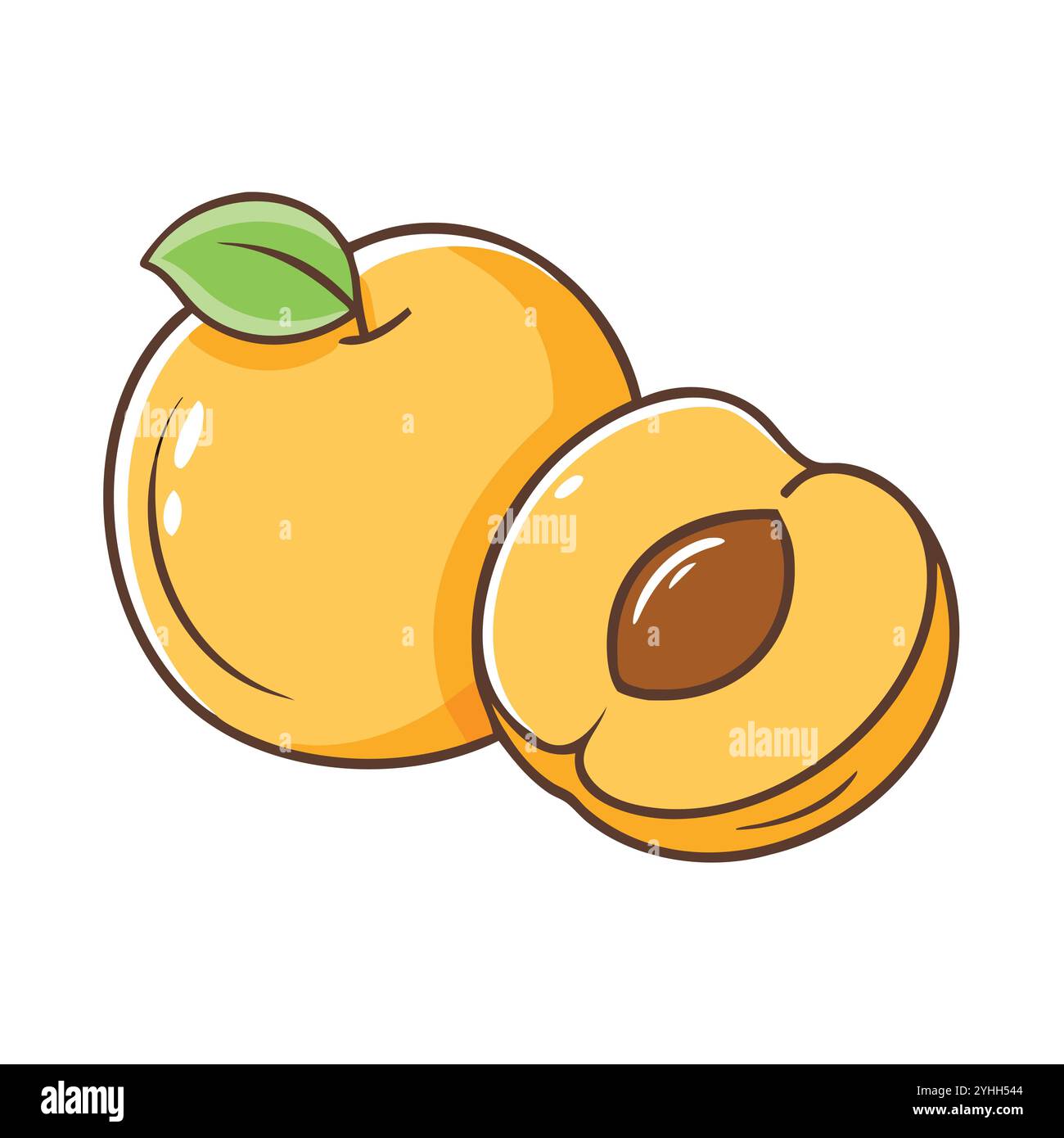 simple vector illustration of a apricot, in a simple and clean style ...
