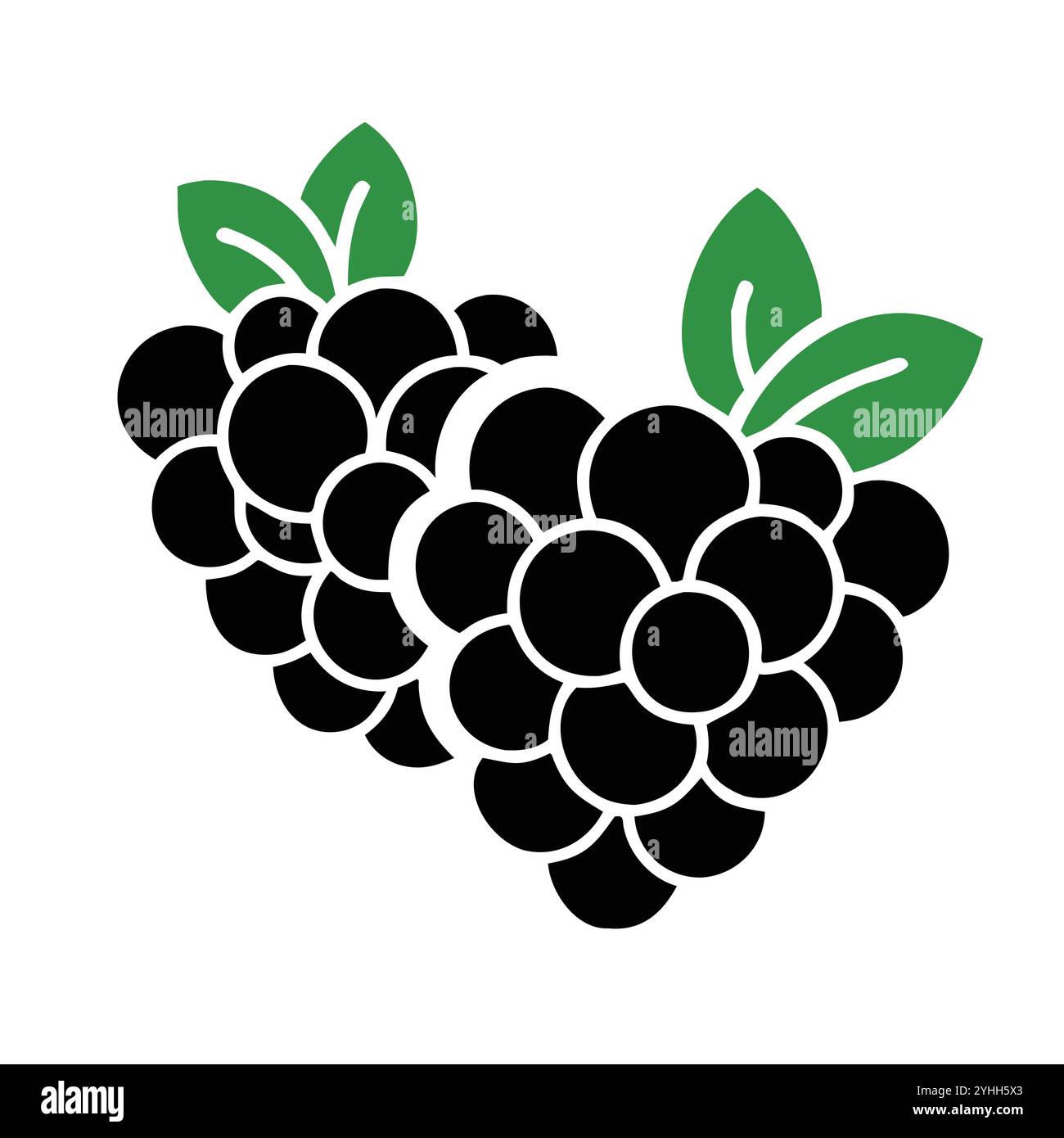 simple vector illustration of a blackberries, in a simple and clean ...
