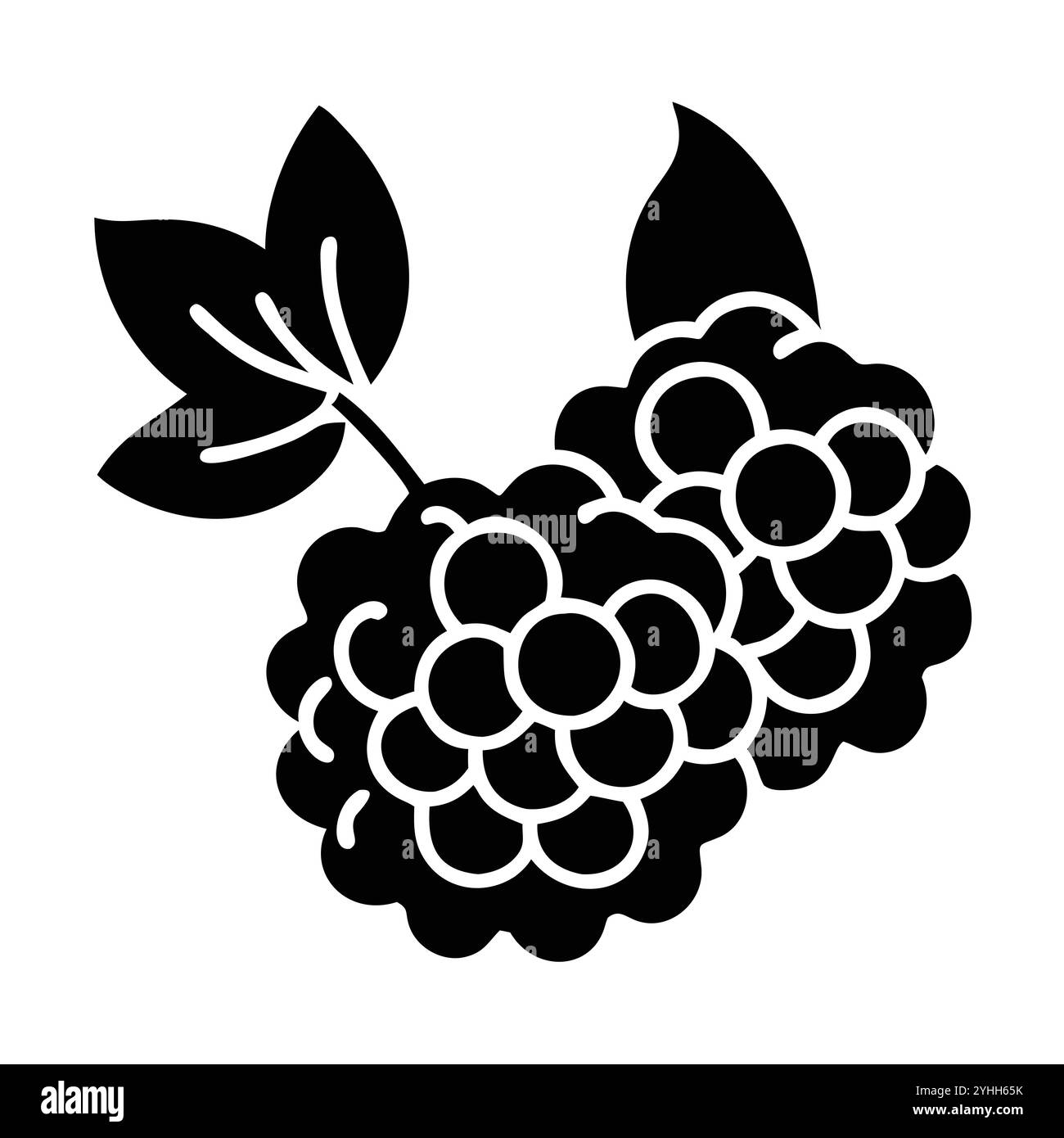 simple vector illustration of a blackberries, in a simple and clean ...