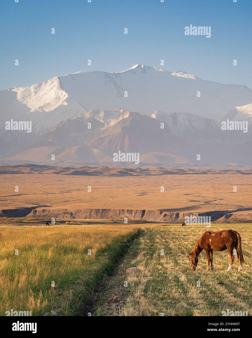 Mogol vertical hi-res stock photography and images - Alamy