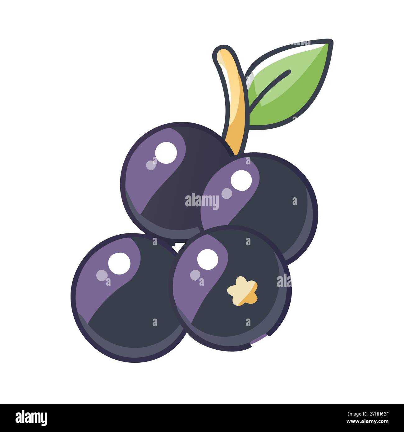 simple vector illustration of a blackcurrant, in a simple and clean ...