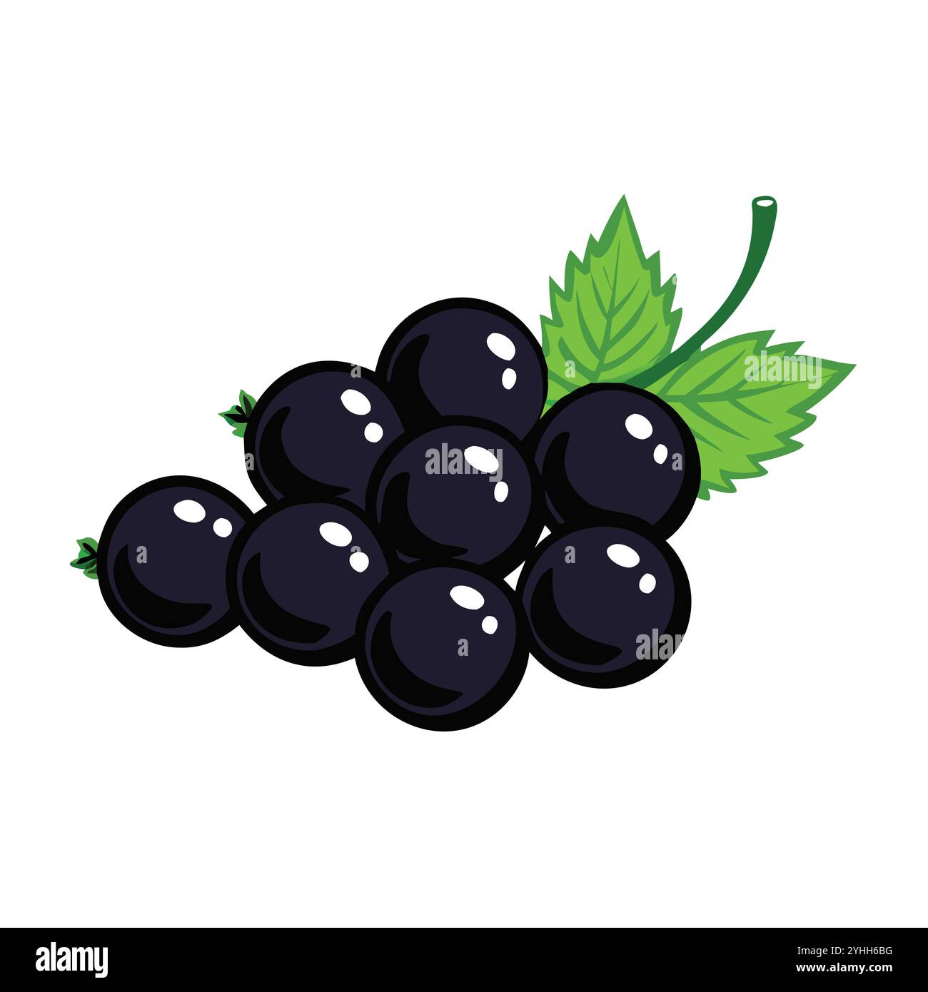 simple vector illustration of a blackcurrant, in a simple and clean ...