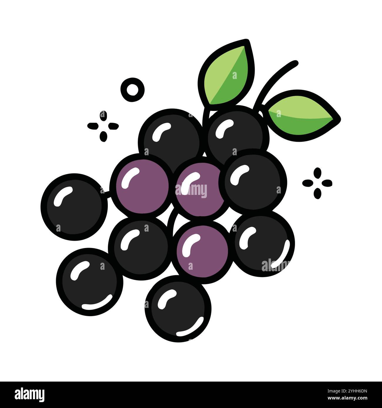 simple vector illustration of a blackcurrant, in a simple and clean ...