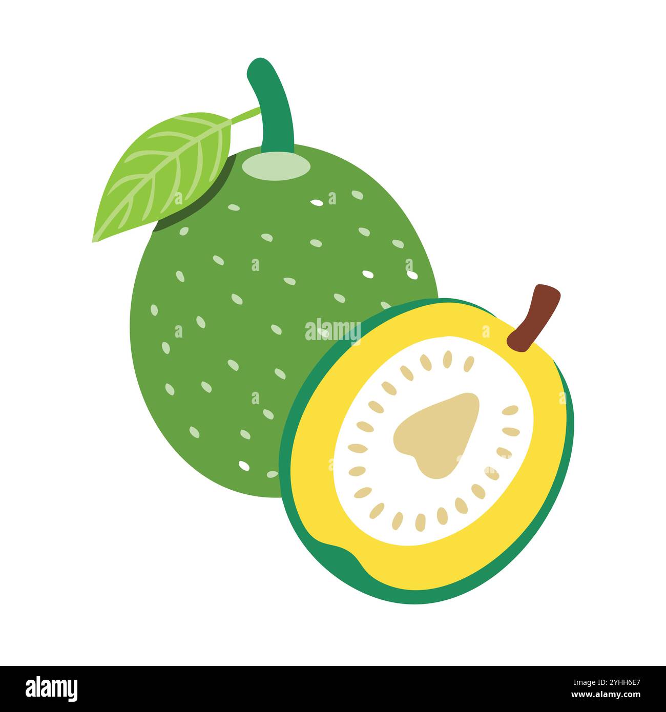 Breadfruit icon hi-res stock photography and images - Alamy