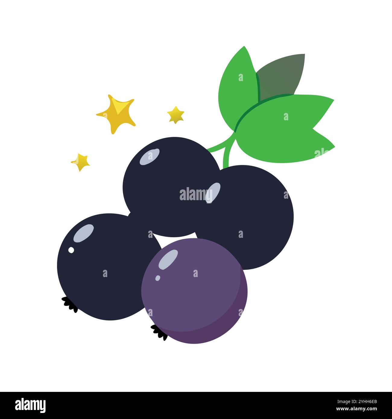 simple vector illustration of a blackcurrant, in a simple and clean ...