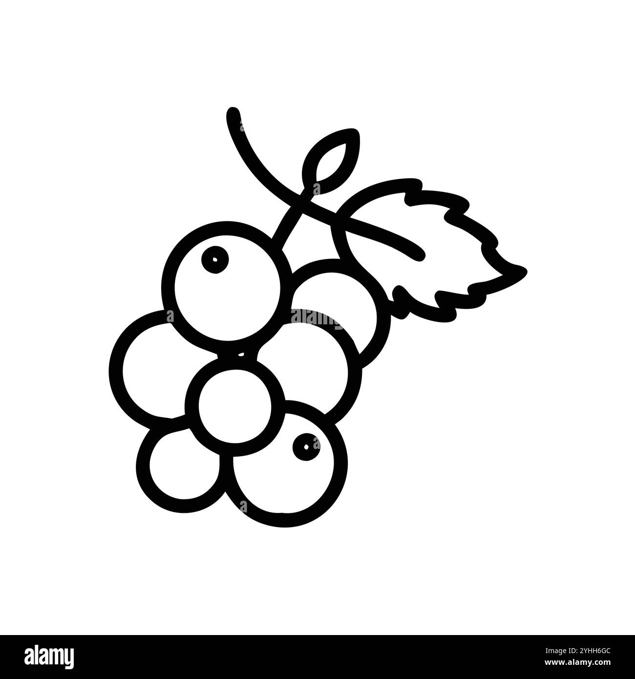 simple vector illustration of a blackcurrant, in a simple and clean ...