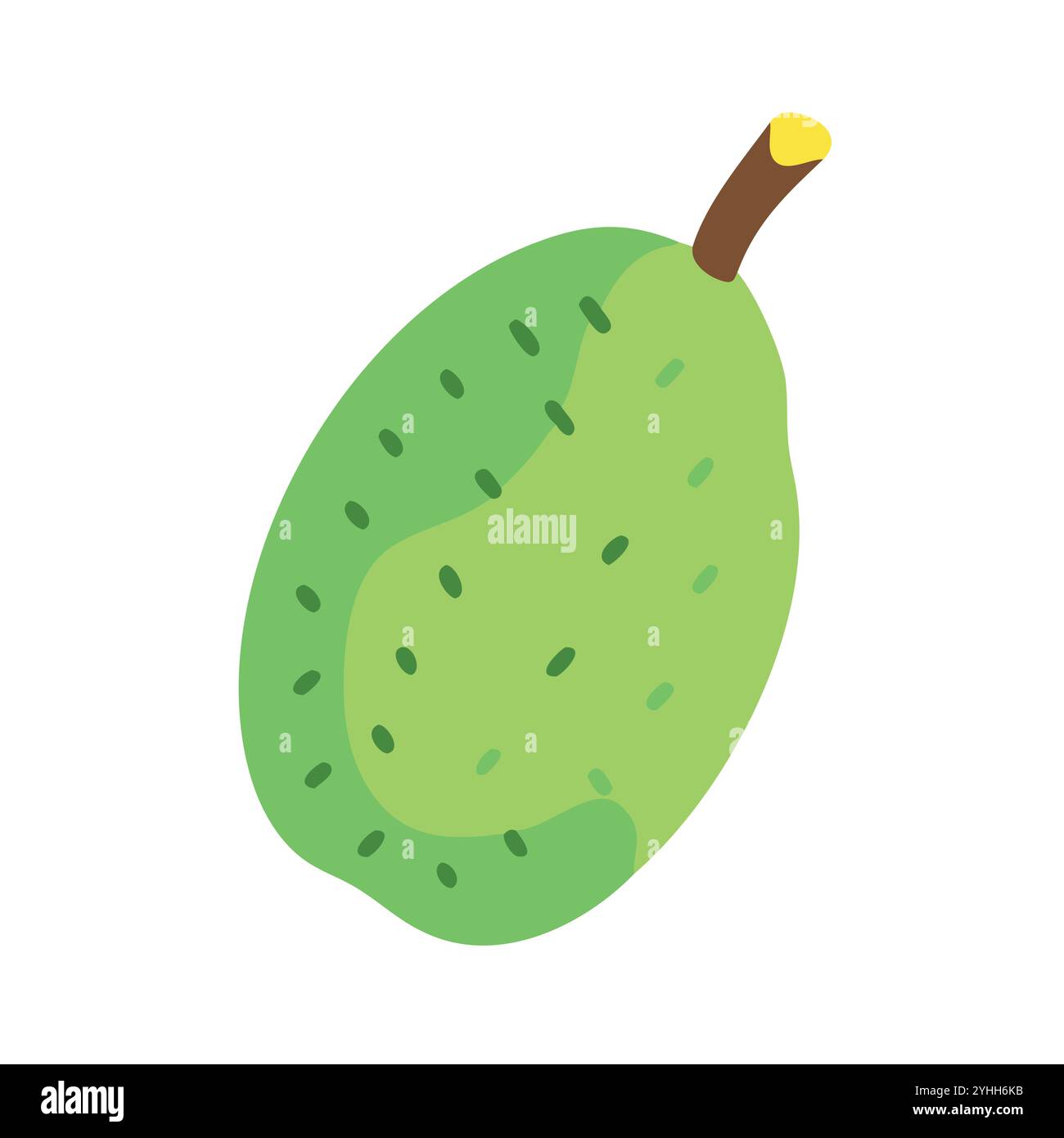 simple vector illustration of a breadfruit, in a simple and clean style, suitable for food and ...