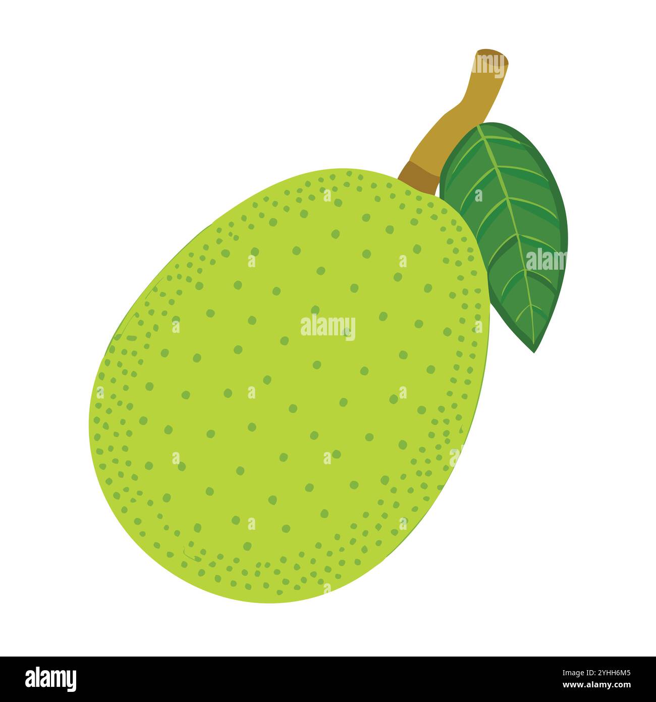 simple vector illustration of a breadfruit, in a simple and clean style ...