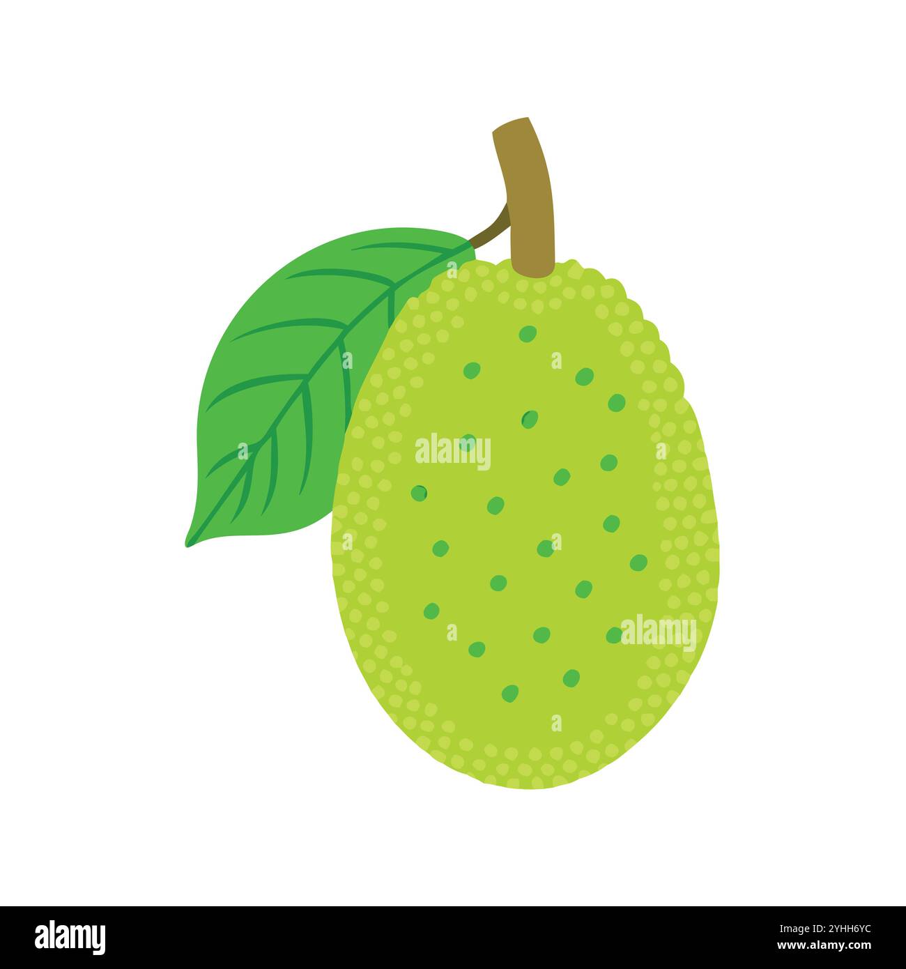simple vector illustration of a breadfruit, in a simple and clean style, suitable for food and ...