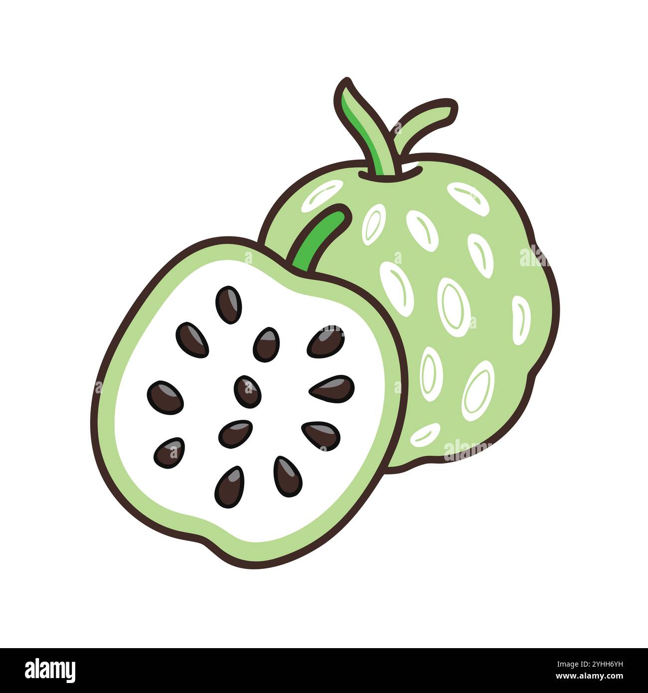 simple vector illustration of a cherimoya, in a simple and clean style ...