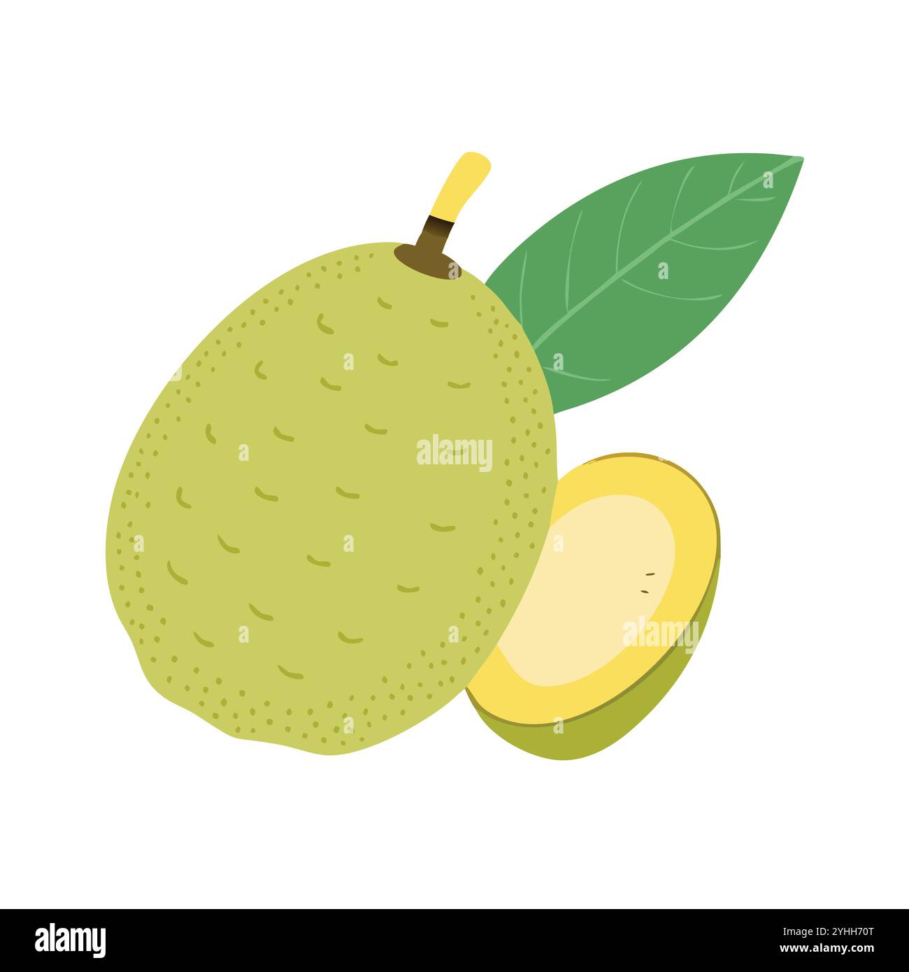 simple vector illustration of a breadfruit, in a simple and clean style ...
