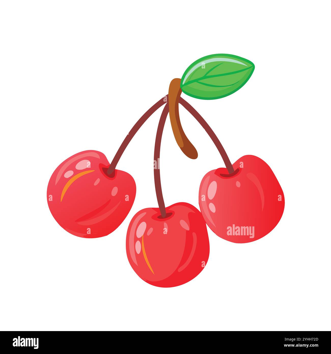 Capulin cherry illustration hi-res stock photography and images - Alamy